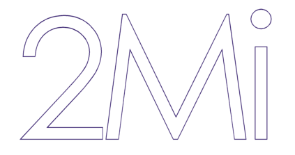 2Mi – An Advanced Systems Consulting Firm
